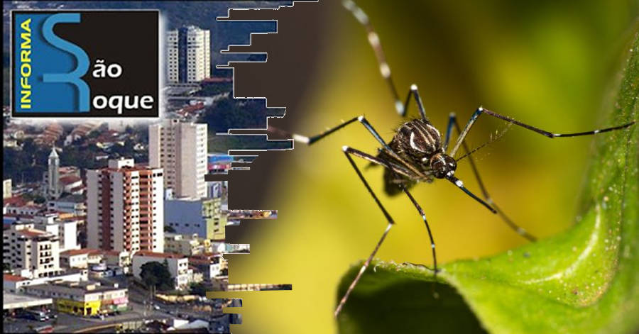 Governo do Estado de S.P. lança campanha contra a dengue com o tema ...